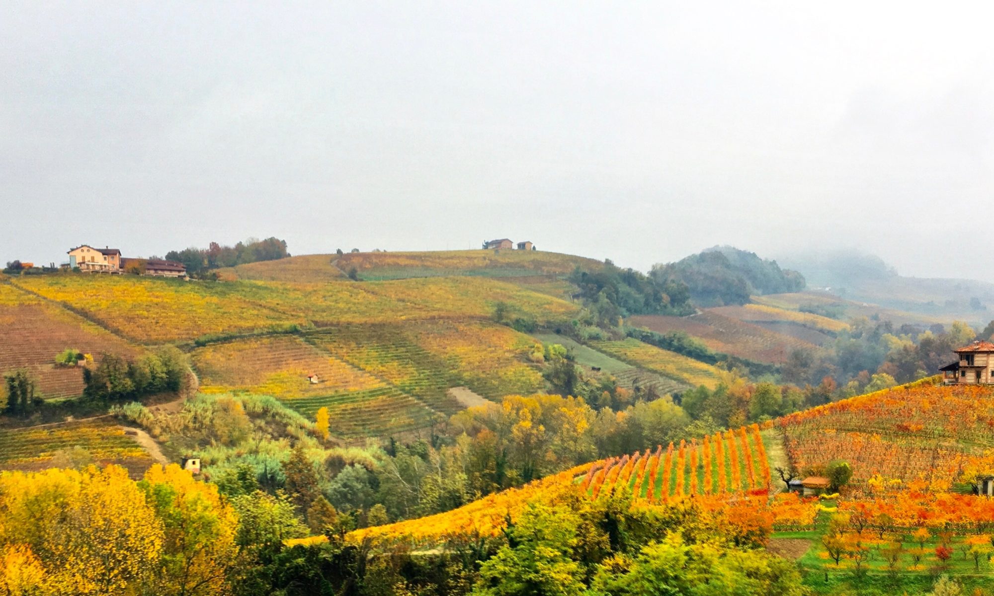 Weekend in Alba, Piemonte – Travels of John and Flo